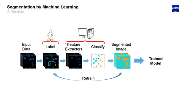 The Definitive Guide to Cell Segmentation Analysis