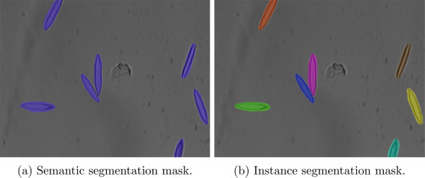The Definitive Guide to Cell Segmentation Analysis