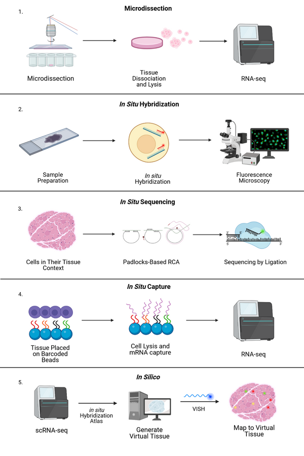 Spatial transcriptomics methods and multi-omic integration