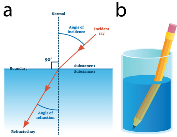 Peering beyond the surface with Gradient Index lenses