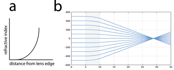 Peering beyond the surface with Gradient Index lenses